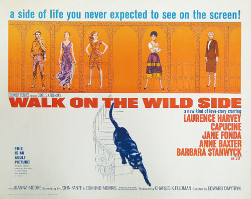 Walk on the Wild Side - Movie Posters Original Movie Poster Collectible ...
