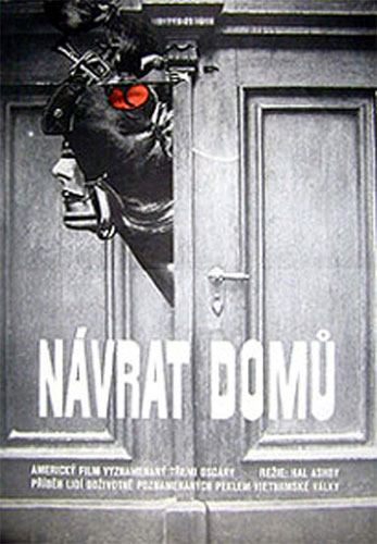 Coming Home - Movie Posters Original Movie Poster Collectible Movie Posters