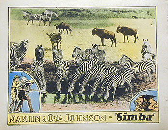 Simba - Movie Posters Original Movie Poster Collectible Movie Posters